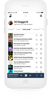 Digital DJ Pool | The MP3 music pool for DJs
